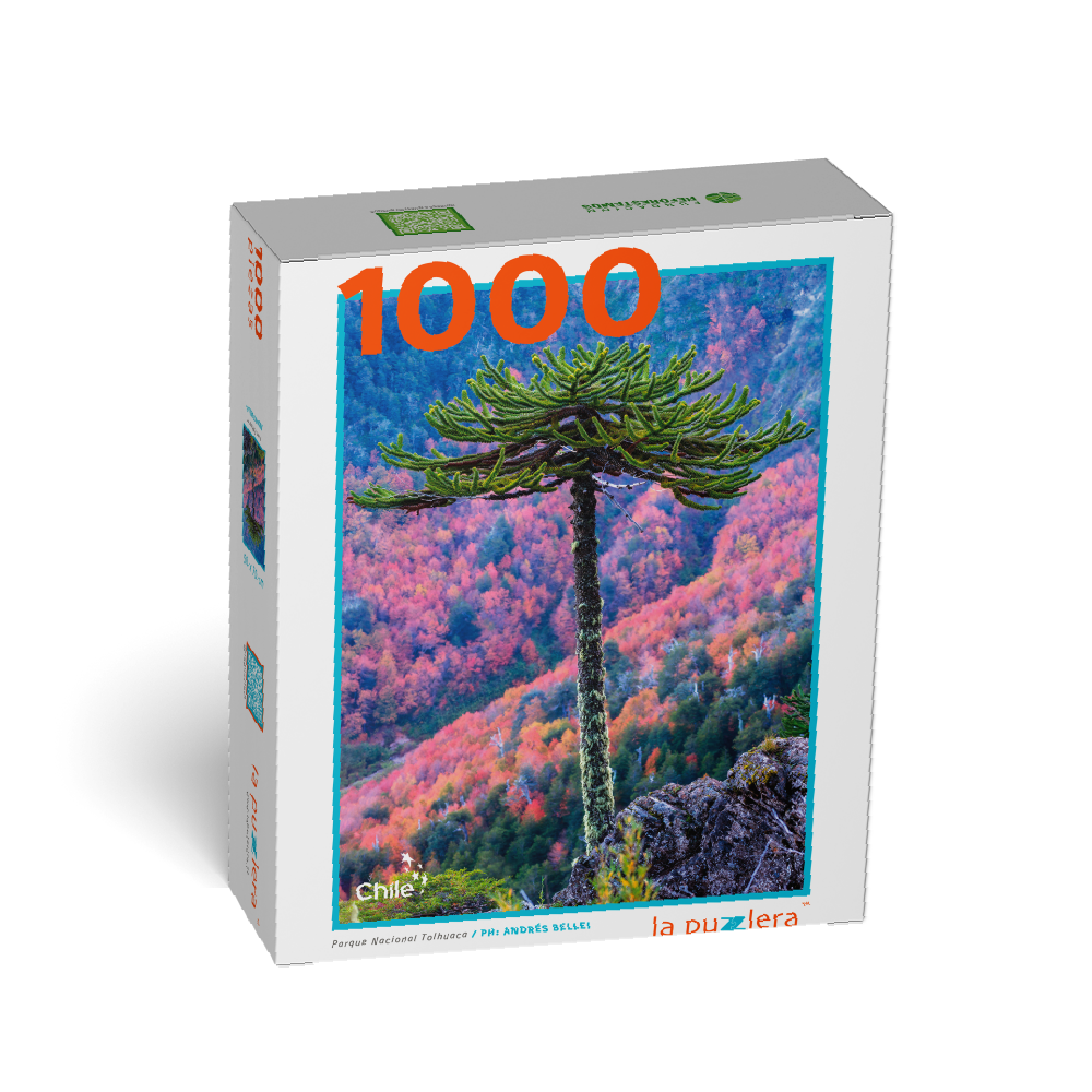 Puzzle Parque Nacional Tolhuaca 1000 Piezas – La Puzzlera
